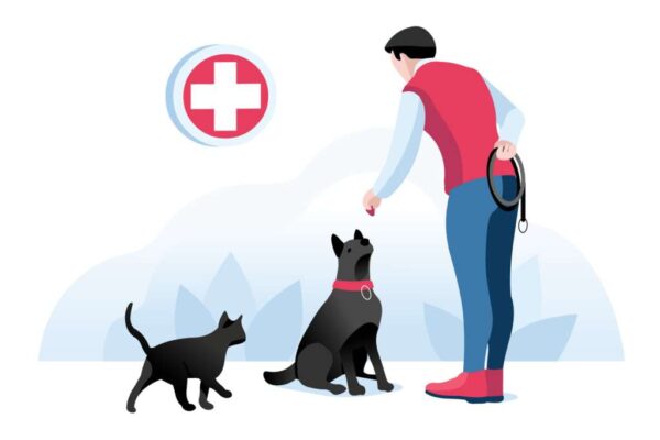 A Complete Guide On Pet Apps Mobile App Development - webiotic