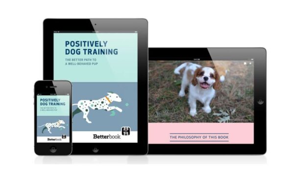 A Complete Guide On Pet Apps Mobile App Development - webiotic