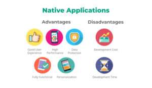 Different Types of Mobile App Development | webiotic