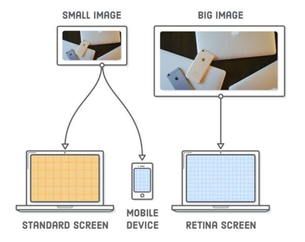 How to Make Your Website Mobile Responsive | webiotic
